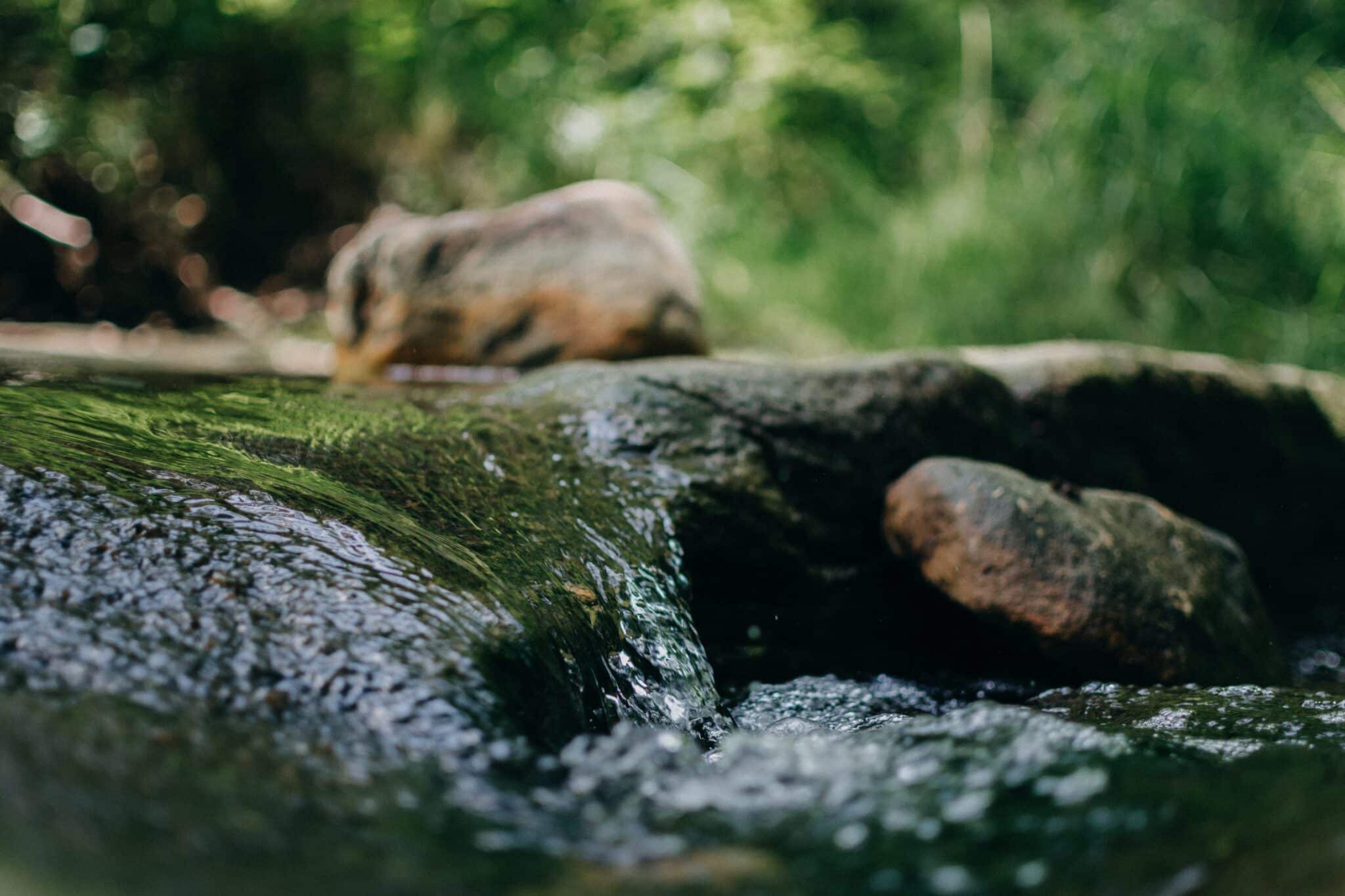 How Microhydro Systems Work – EnergyRates.ca