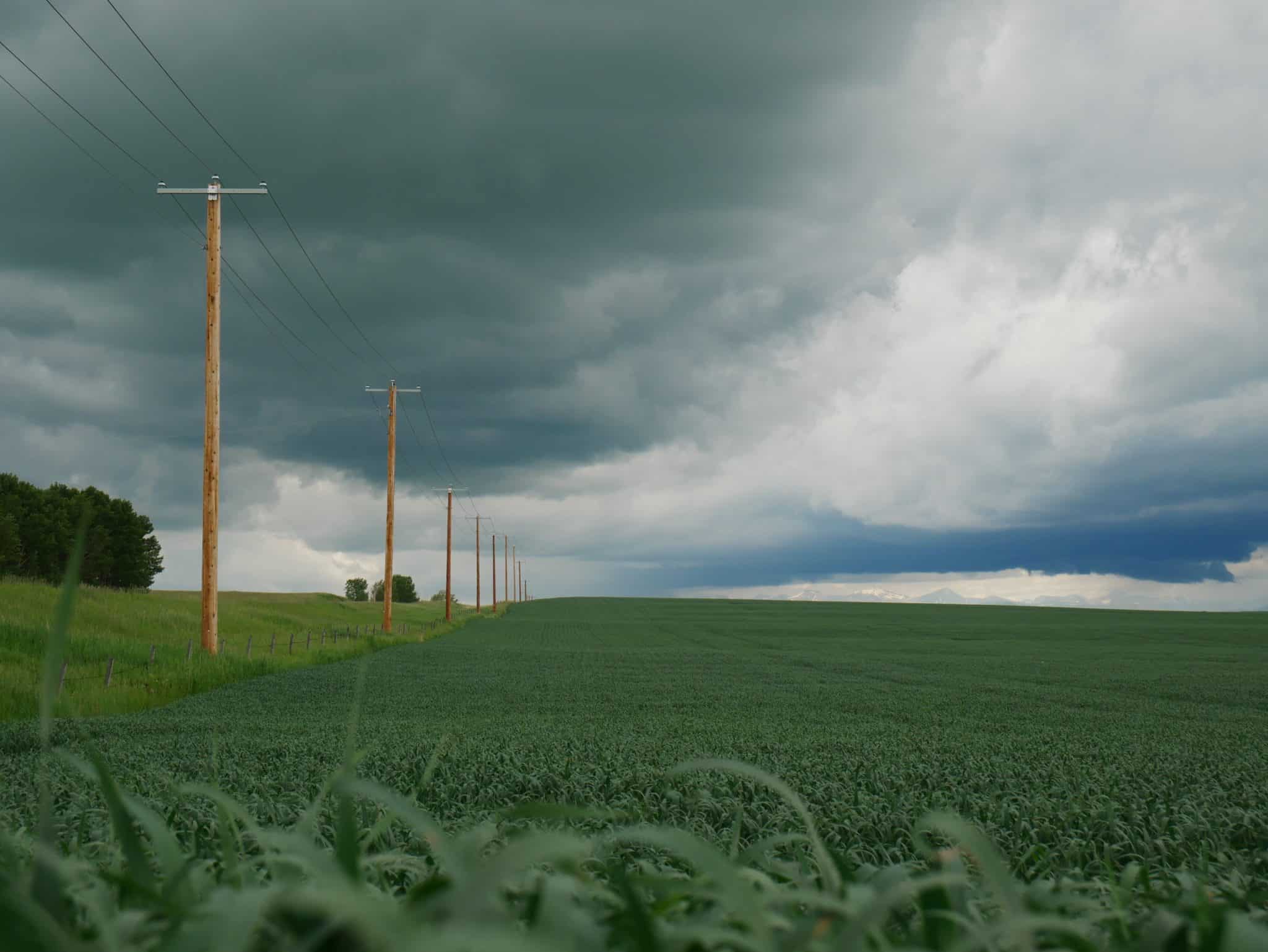 Alberta Could Lead in Wind and Solar Power by 2025 – EnergyRates.ca