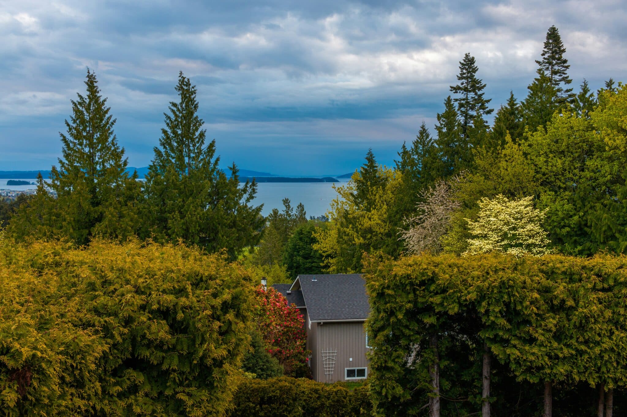Water Treatment Solutions for Industries in BC – EnergyRates.ca